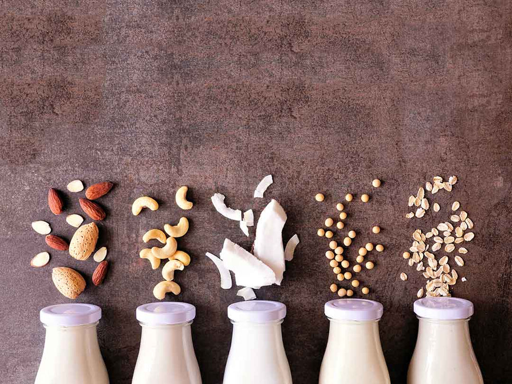 Alvena shop – Alvena srl